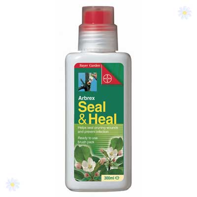 Arbrex Seal & Heal Pruning Paint 300ml | Thoughtpulse